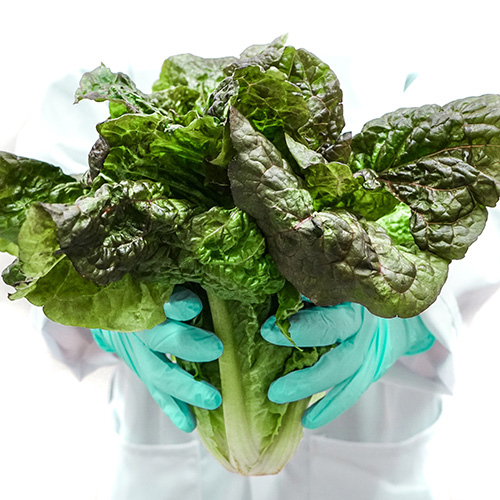 Anaerobic Plate Count - Microbac Laboratories