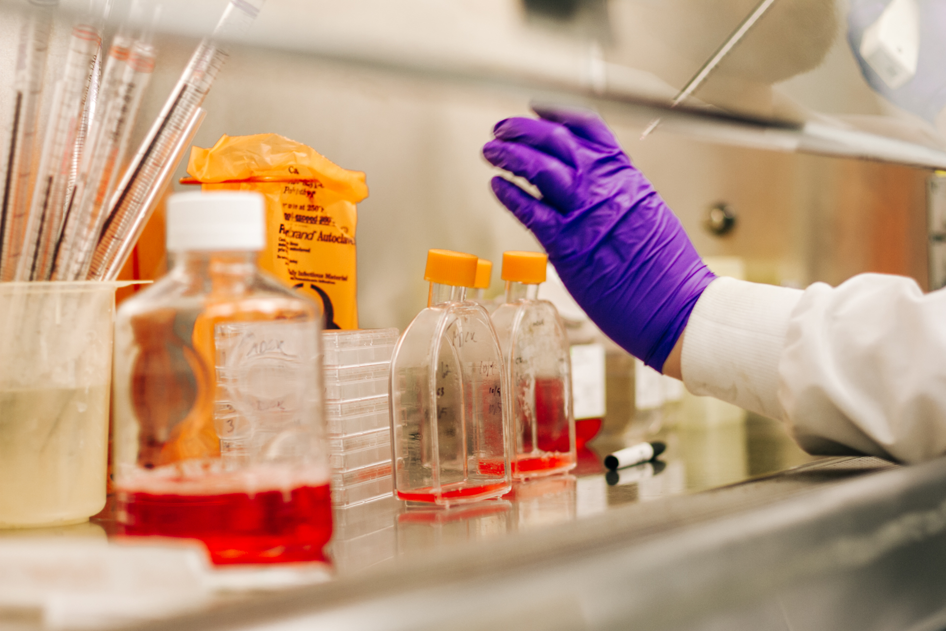 Understanding Coronavirus: The Critical Role of Hygienic Interventions ...