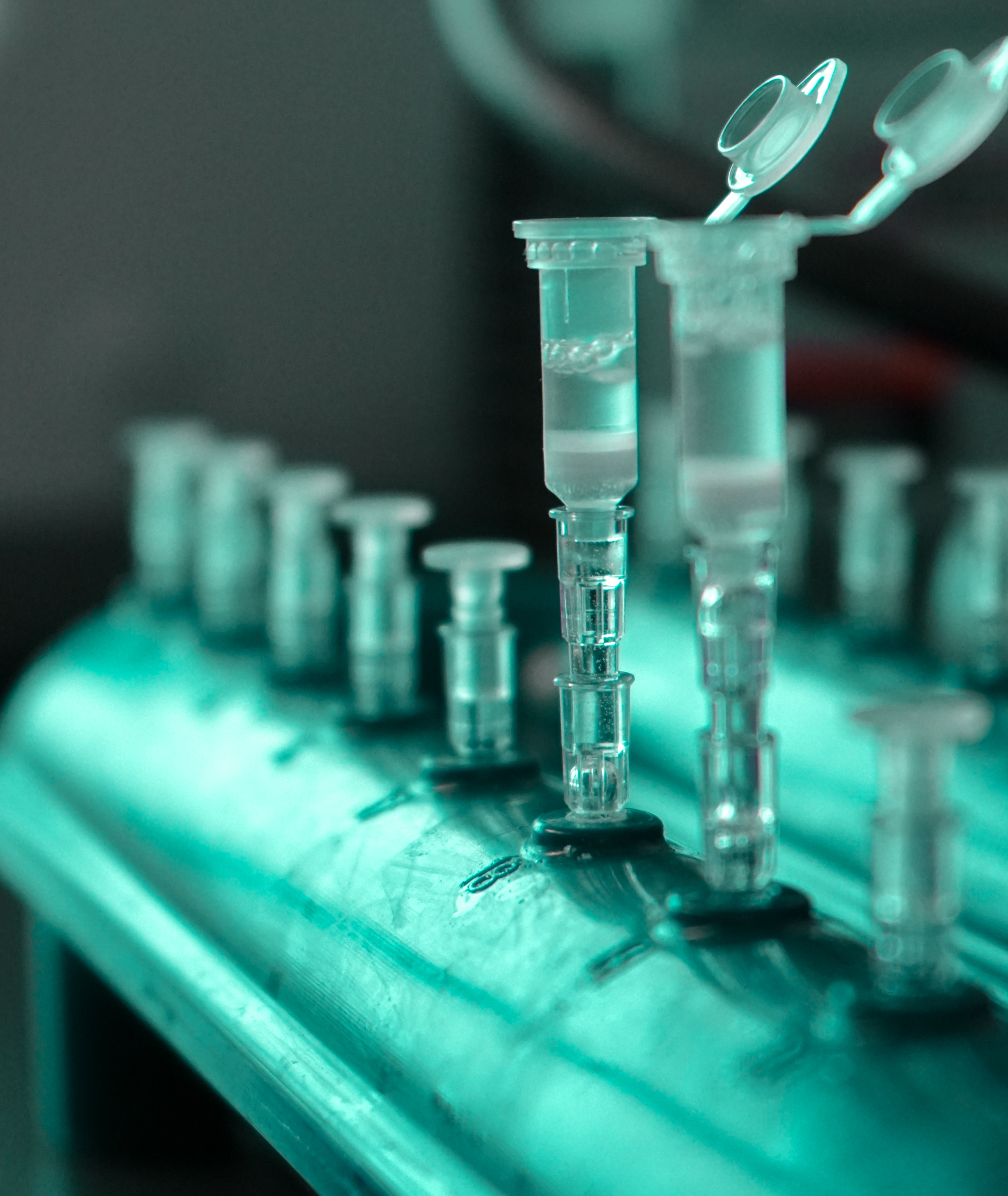 What is The Science of Soil Microbial Communities? - Microbac Laboratories